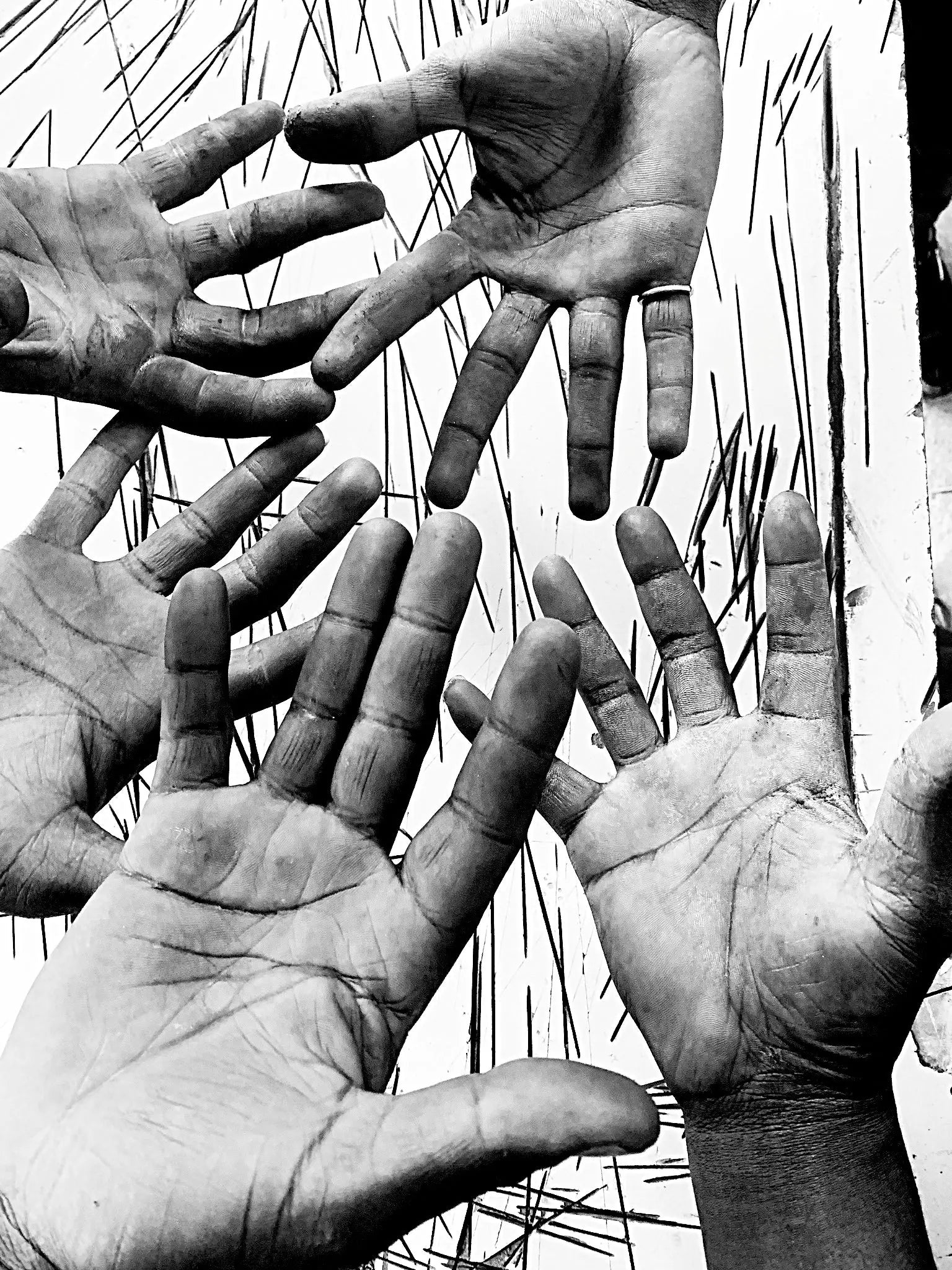 Dedication to Craftsmanship - Adele Dejak