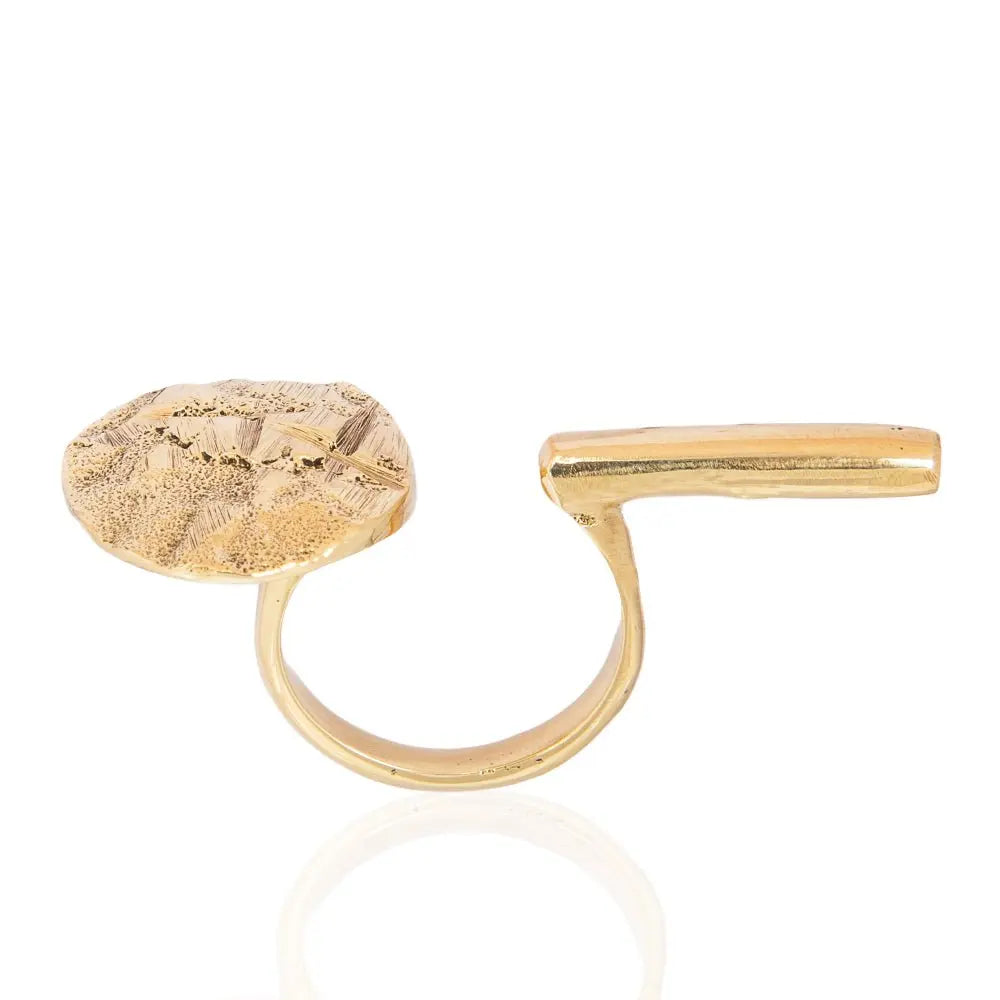 Bazele Ring – Adele Dejak